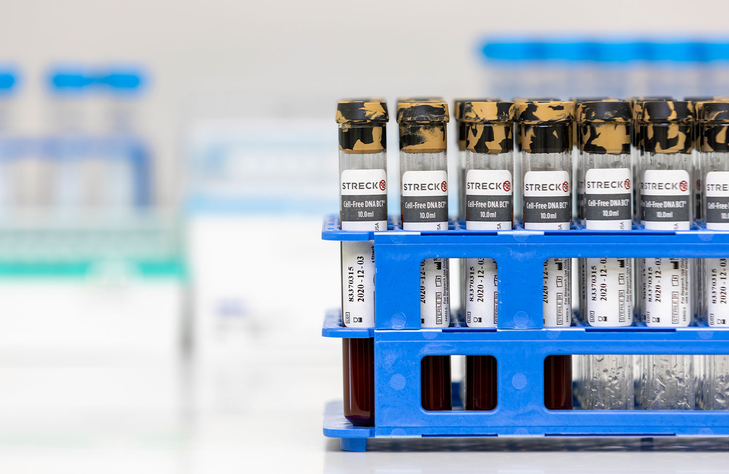 Stabilization - Streck