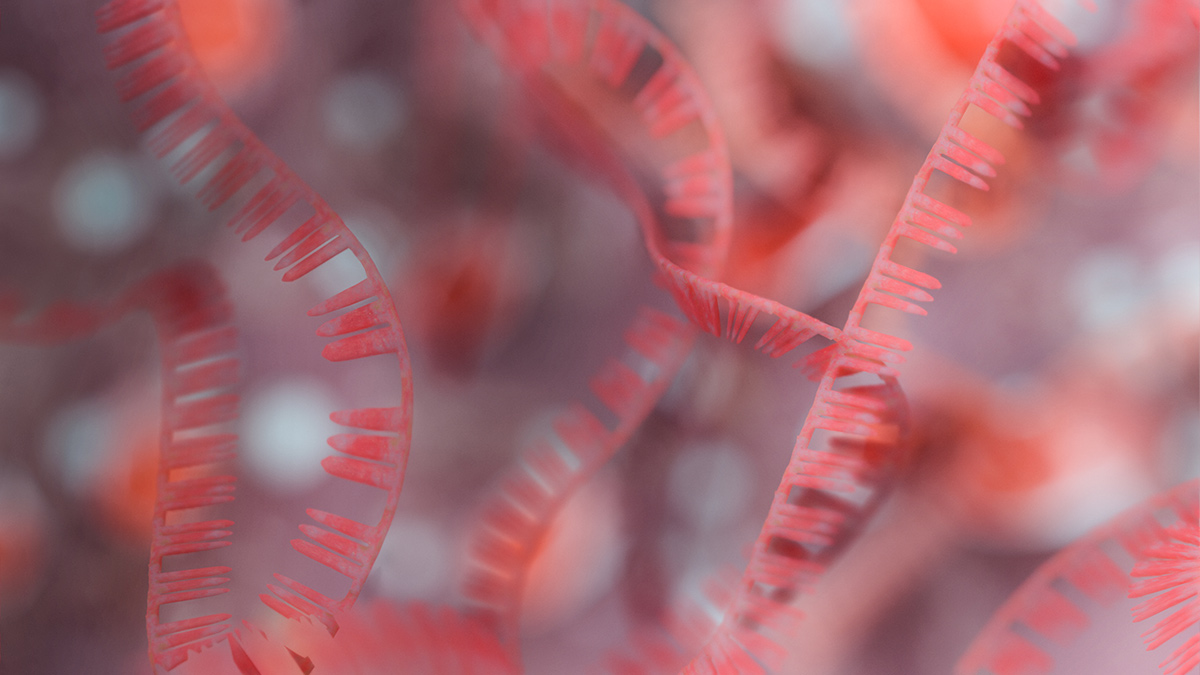 microRNA in RNA Complete BCT - Streck