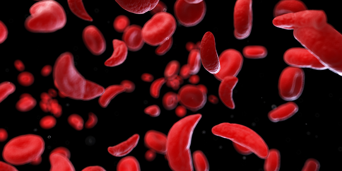 Quality Control | Streck