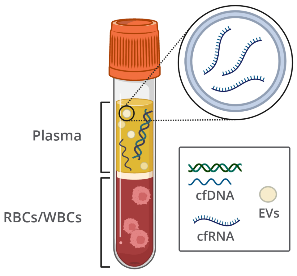 How can nucleic acids predict disease? - Streck