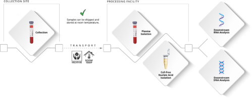 Stabilization - Streck