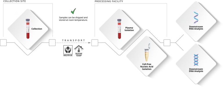 Stabilization - Streck