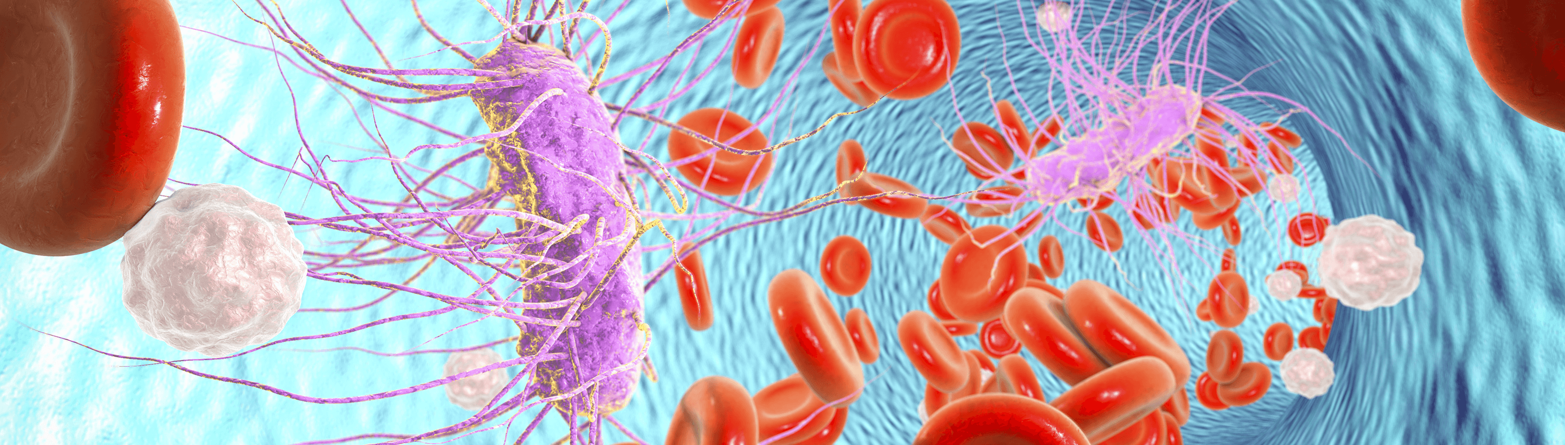 External Controls for MDx - Streck