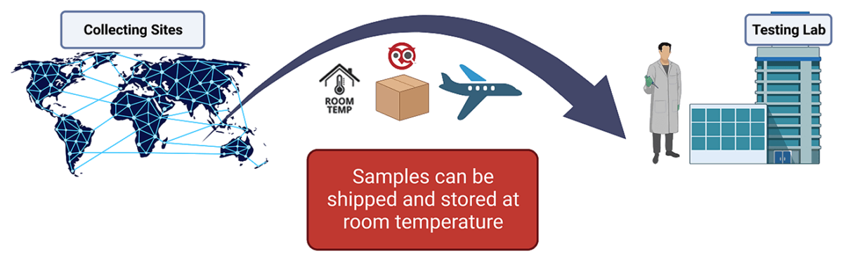 Why does stabilization matter? - Streck