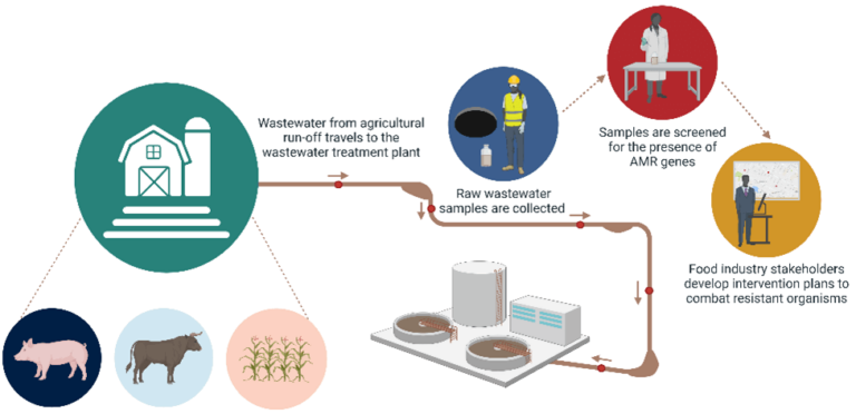 AMR in Agriculture - Streck