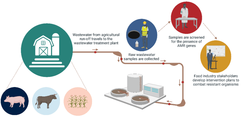AMR in Agriculture - Streck