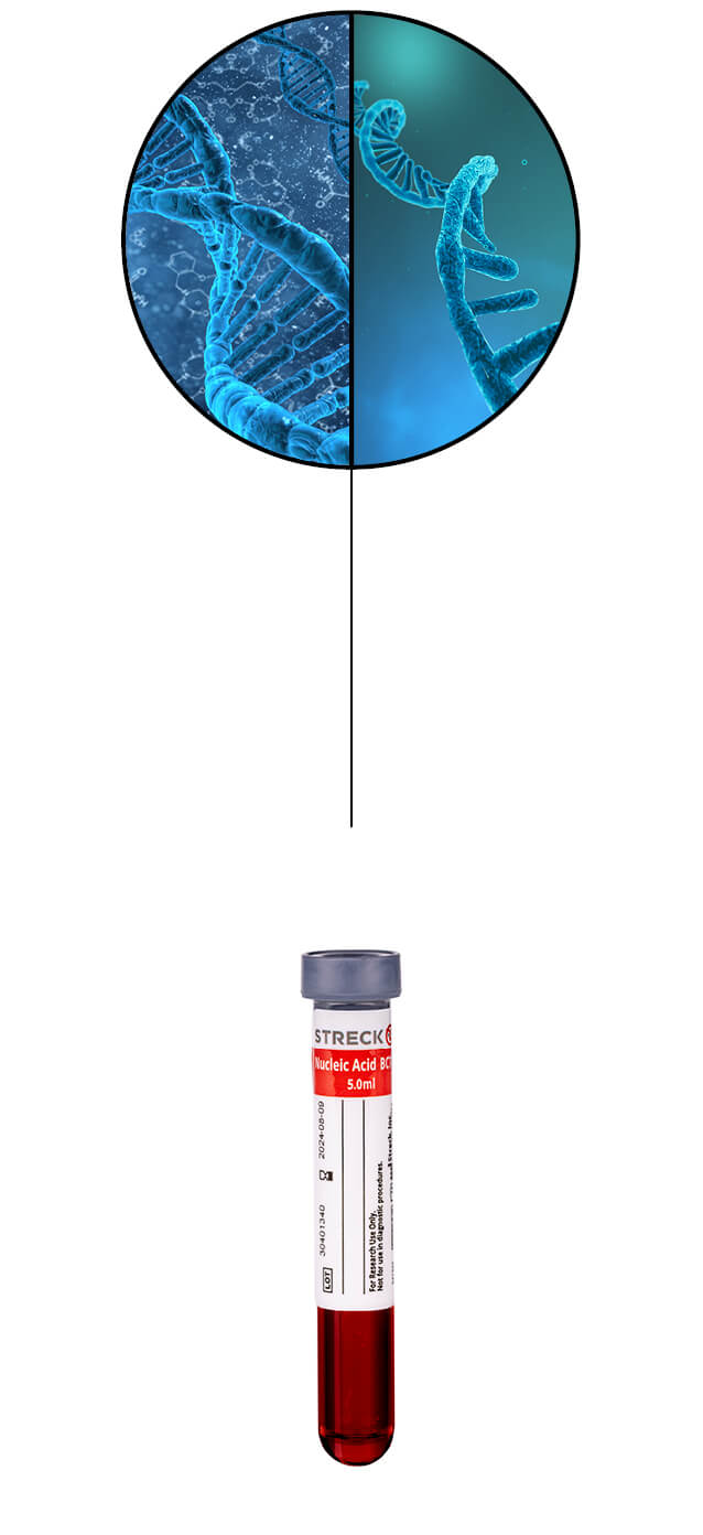 Research Gate - Stabilization - Streck