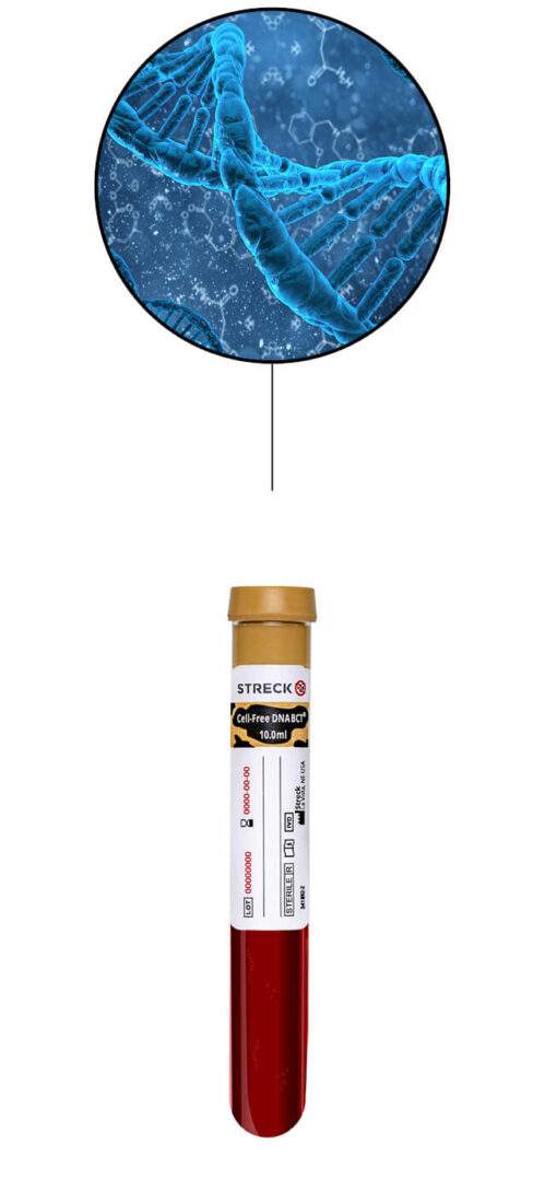 Research Gate - Stabilization - Streck