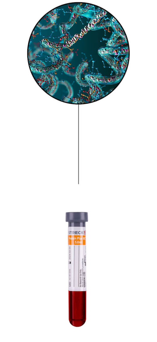 Research Gate - Stabilization - Streck