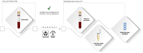 Stabilization - Streck